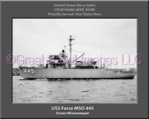 USS Force MSO 445 : Personalized Navy Ship Photo ⋆ Great Naval Images LLC