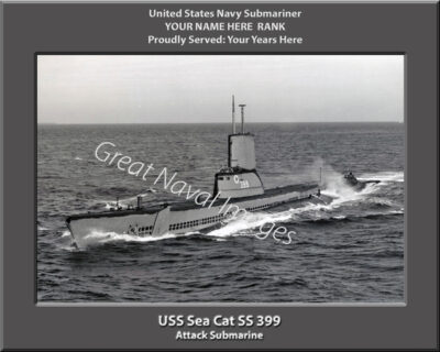 USS Sea Cat SS 399 : Submarine Photo ⋆ Great Naval Images LLC