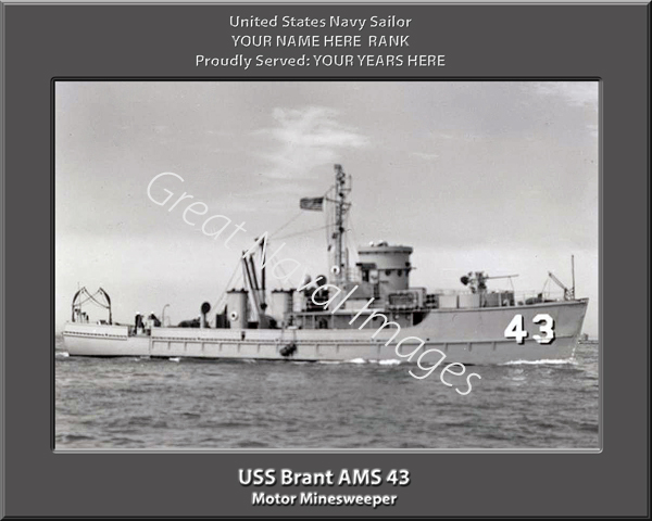 USS Brant AMS 43 : Navy Ship Photo ⋆ Great Naval Images LLC