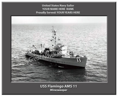 USS Flamingo AMS 11 : Navy Ship Photo ⋆ Great Naval Images LLC
