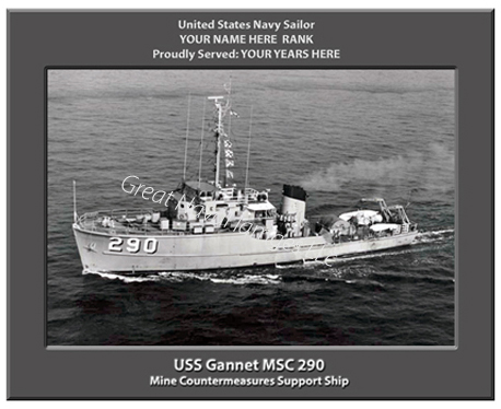 USS Gannet MSC 290 : Navy Ship Photo ⋆ Great Naval Images LLC