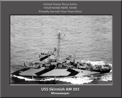 USS Skirmish AM 203 : Navy Ship Photo ⋆ Great Naval Images LLC