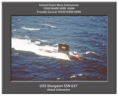 USS Sturgeon SSN 637: Submarine Photo ⋆ Great Naval Images LLC