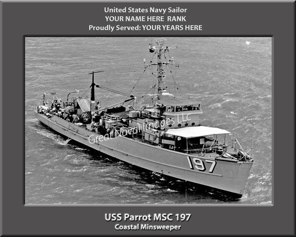 USS Parrot MSC 197: Personalized Navy Ship Photo ⋆ Great Naval Images LLC.